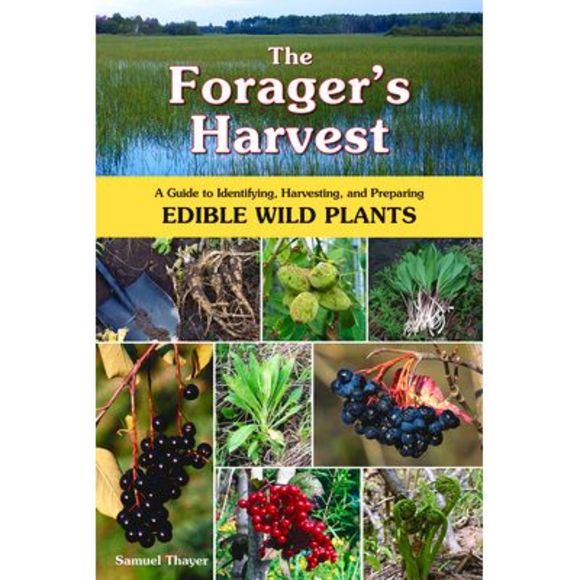 Samuel Thayer | Other | The Foragers Harvest A Guide To Identifying ...